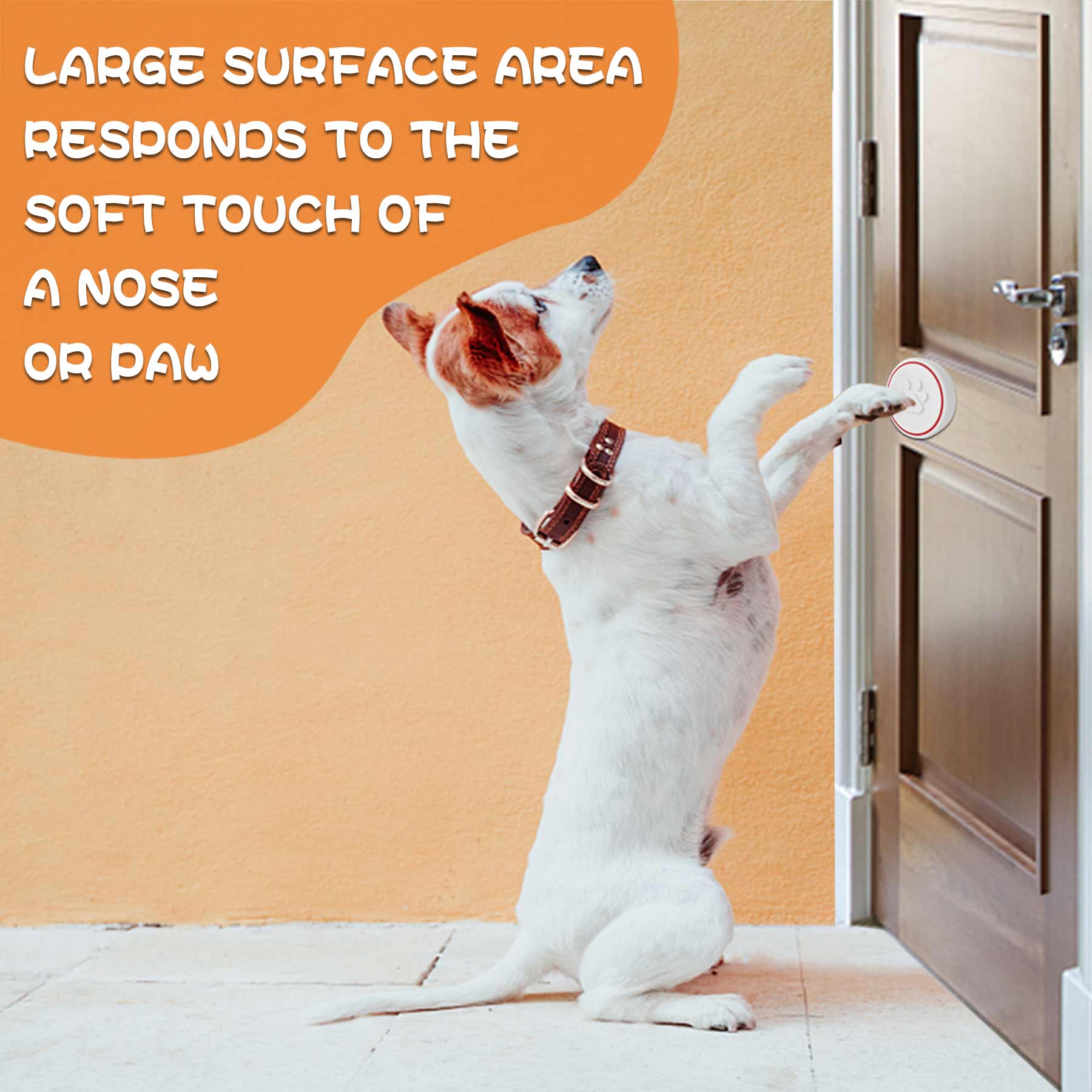 Daytech CB19 pet doorbell wireless door chime flash plug doorbell pet ...